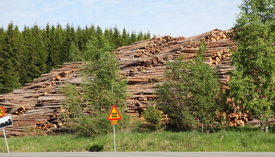 Mellanskog höjer priset på timmer och massaved | INDUSTRInyheter.se